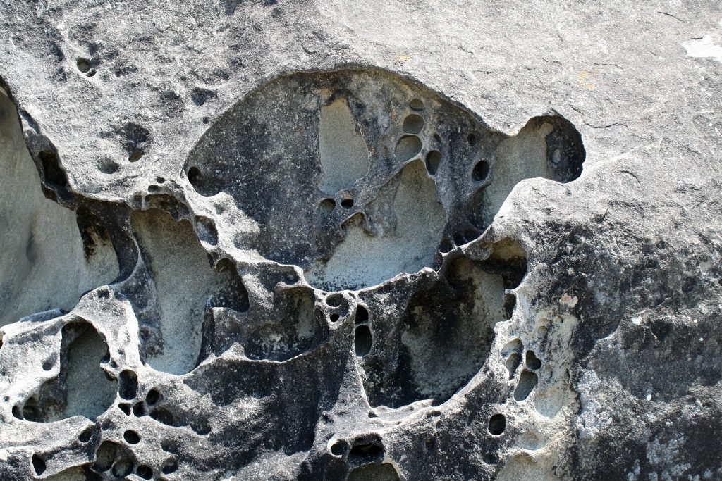 The Chuckanut Formation in Our Backyard | Whatcom Watch Online