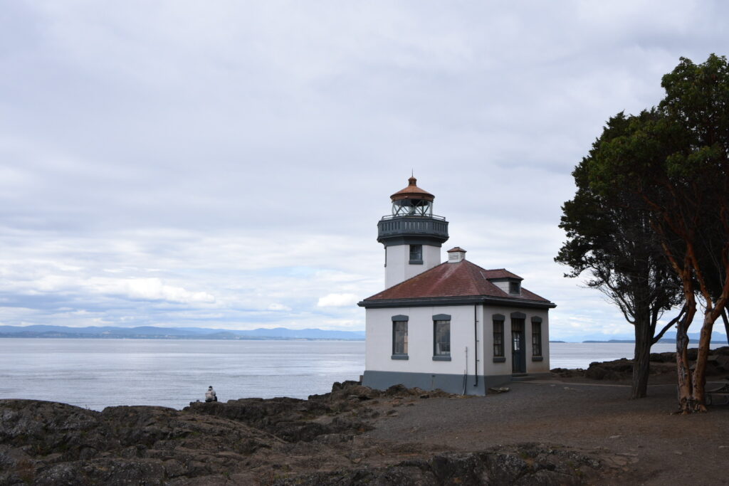 Orcas Visit Bellingham Bay | Whatcom Watch Online